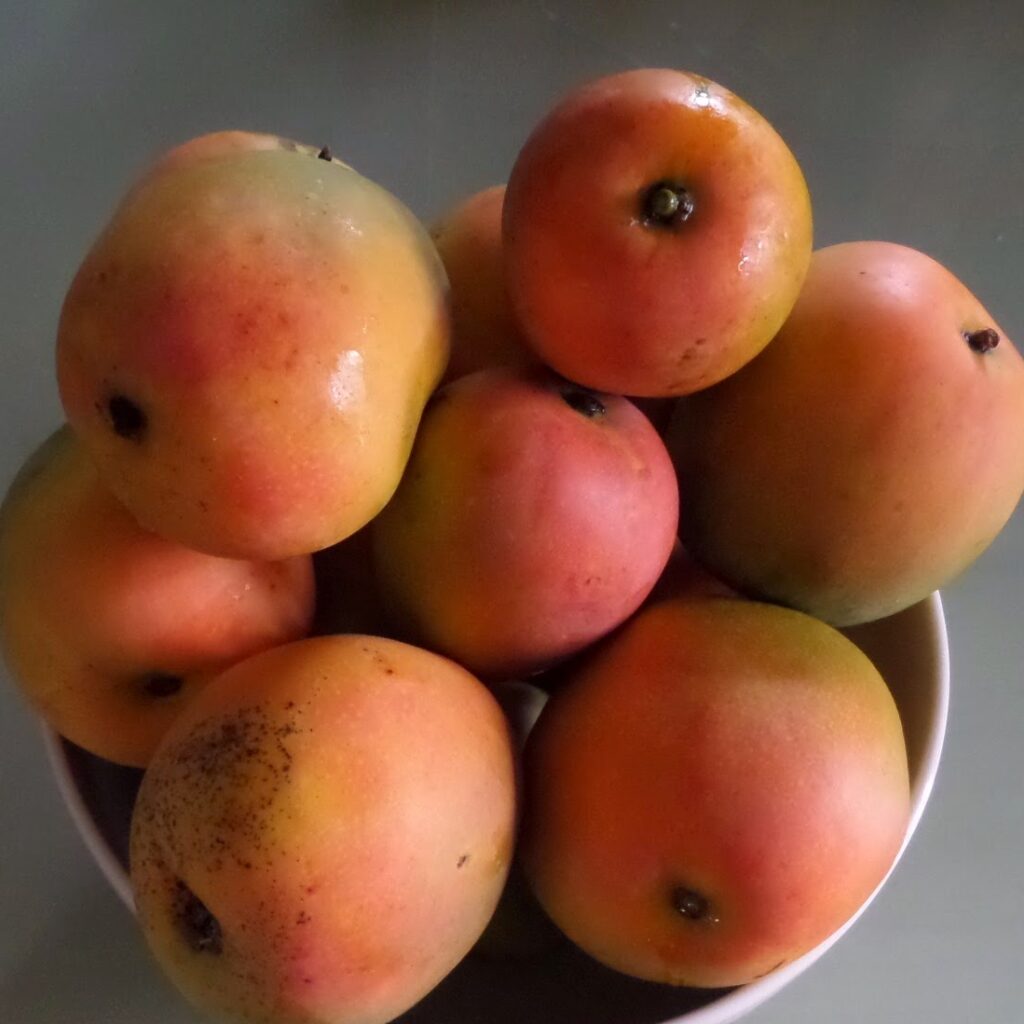 Seasonality Chart – All Things Mango