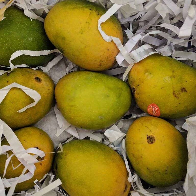 Seasonality Chart – All Things Mango