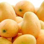Seasonality Chart – All Things Mango