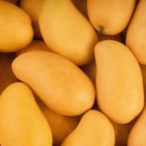 Seasonality Chart – All Things Mango
