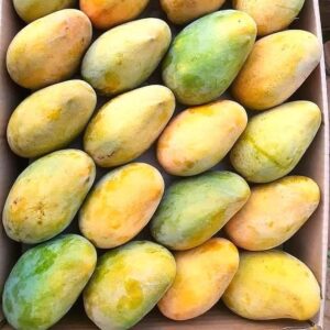 Seasonality Chart – All Things Mango