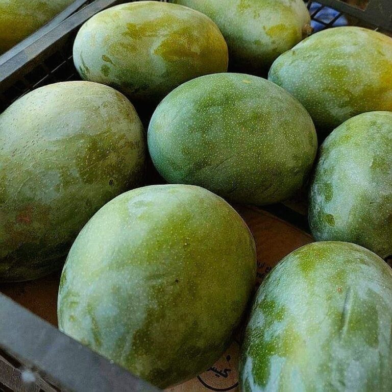 Seasonality Chart – All Things Mango