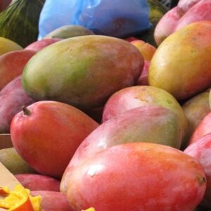 Seasonality Chart – All Things Mango